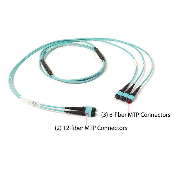 MTP/MPO Conversion Cords